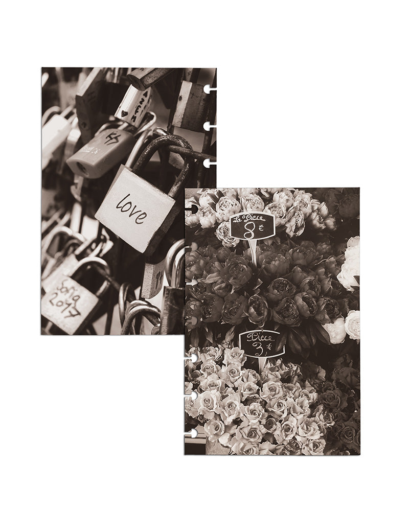 Discbound Planner Dashboard Set | Romantic Locks & Roses – Jane's Agenda®