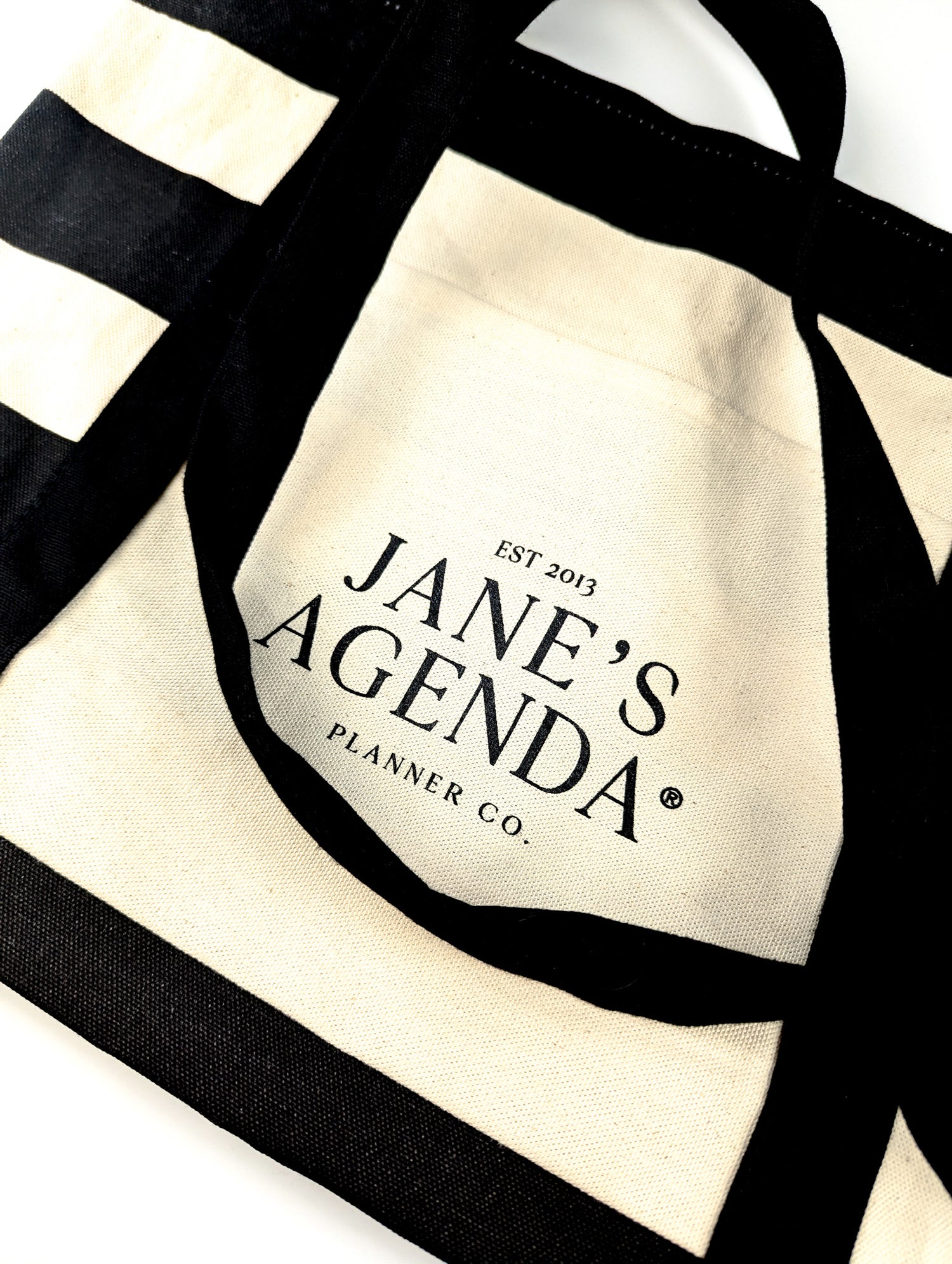 2025 Discbound Planners, Calendars & Subscriptions by Jane's Agenda